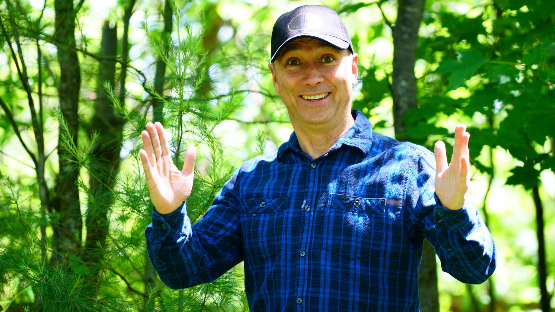 Little Big Fish Films | Welcome to Little Big Fish Films