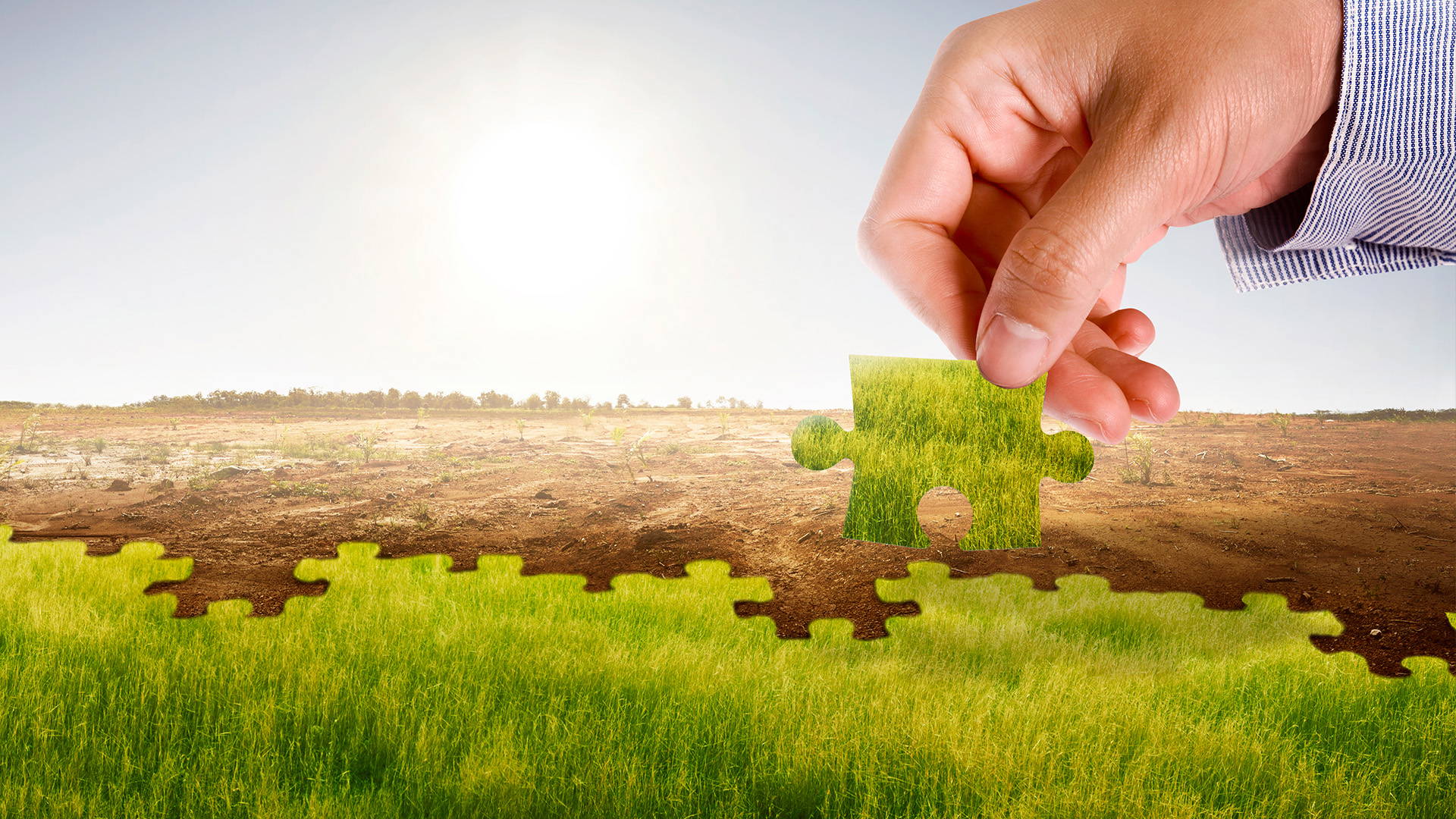 Little Big Fish Films | Welcome to Little Big Fish Films